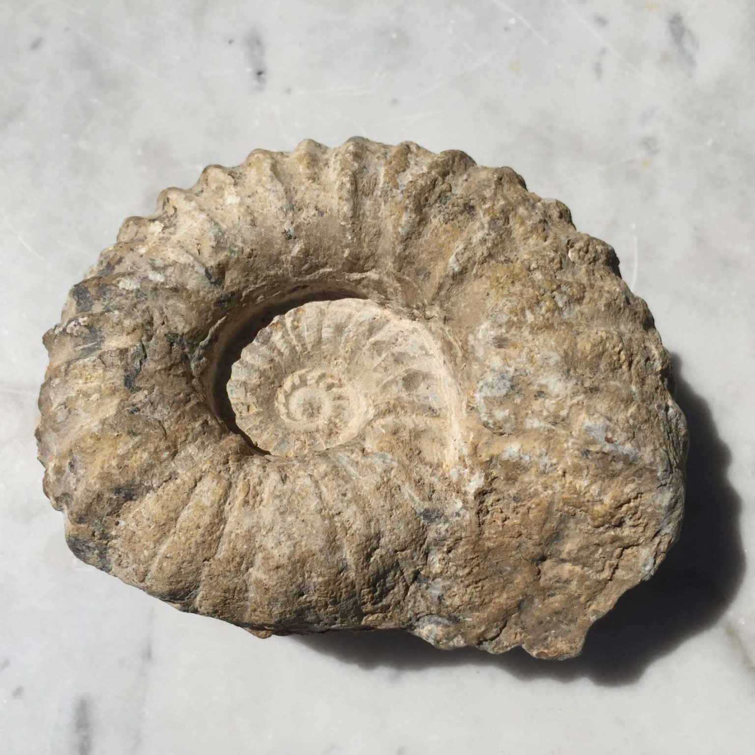 The Hidden Gem - Crystals, minerals, fossils and semi-precious stone ...