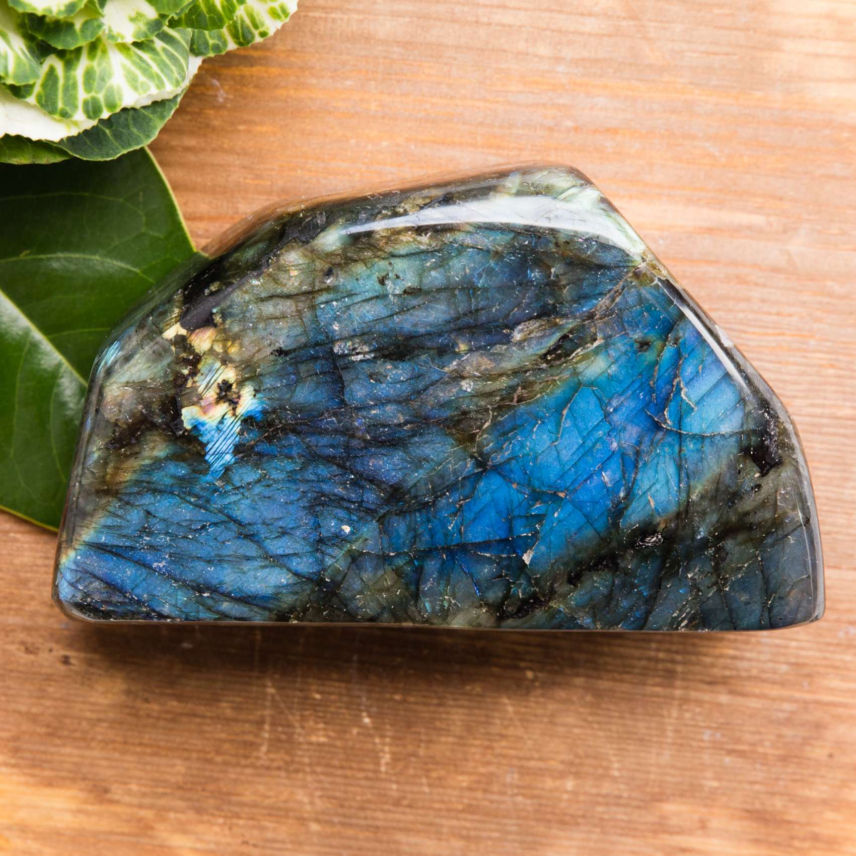 The Hidden Gem - Crystals, minerals, fossils and semi-precious stone ...
