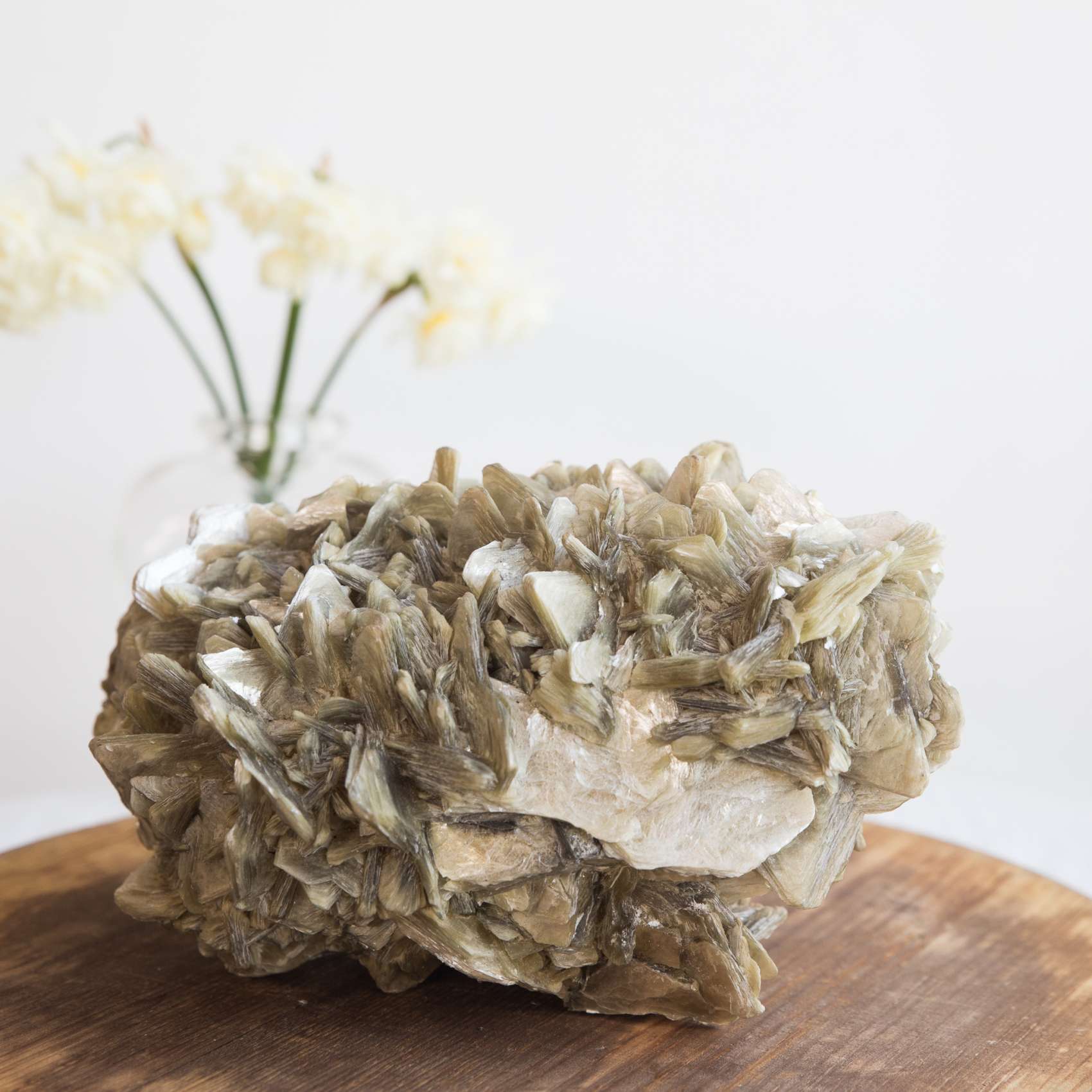 The Hidden Gem - Crystals, minerals, fossils and semi-precious stone ...