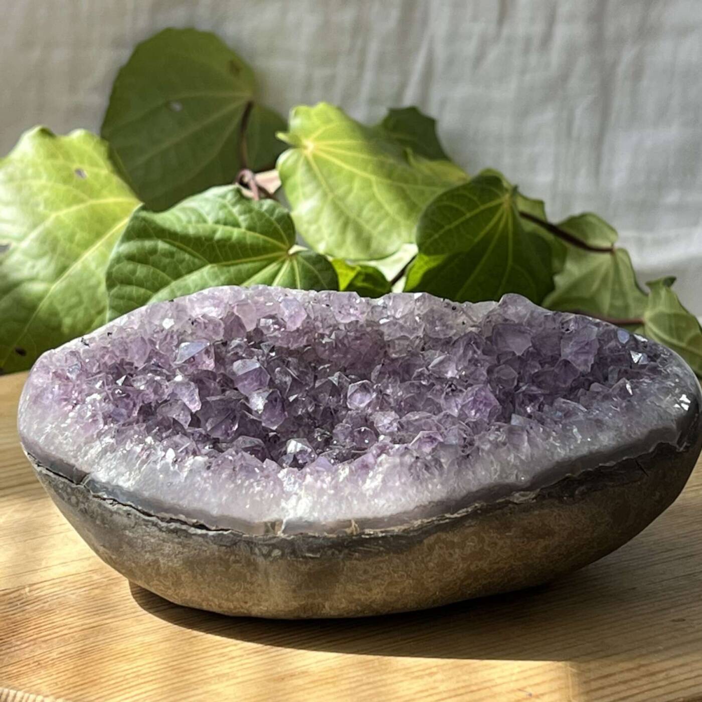 The Hidden Gem - Crystals, minerals, fossils and semi-precious stone ...