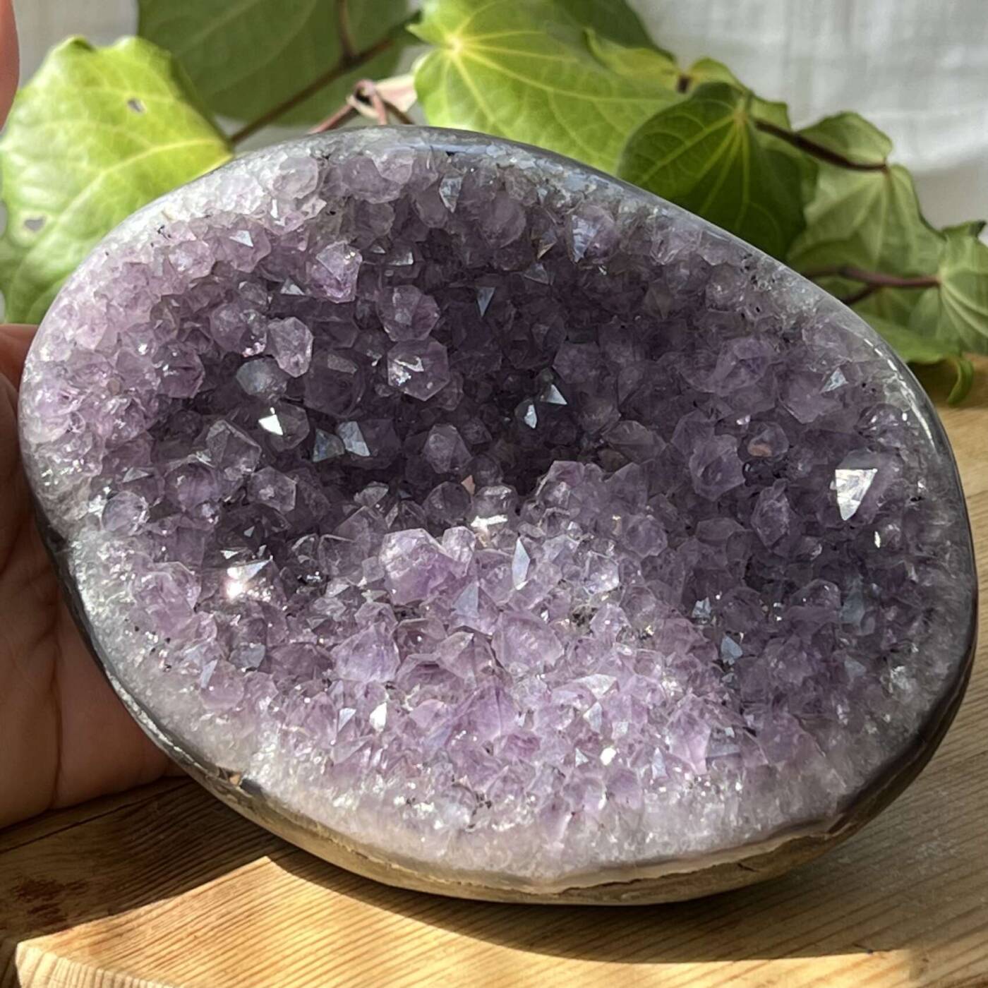 The Hidden Gem - Crystals, minerals, fossils and semi-precious stone ...