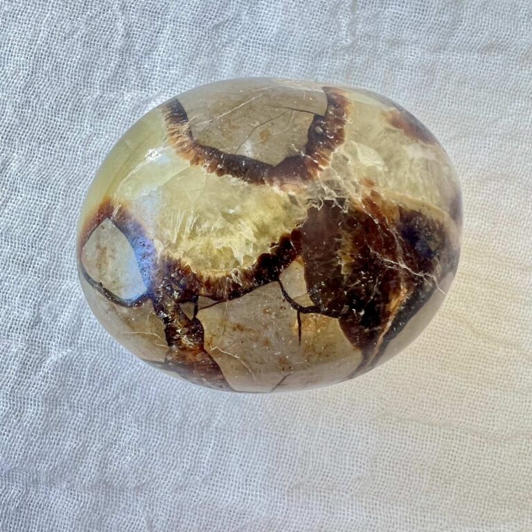 Septarian - The Hidden Gem