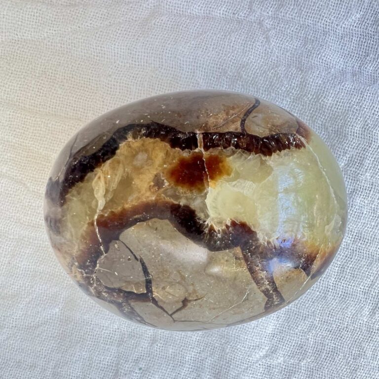 Septarian - The Hidden Gem